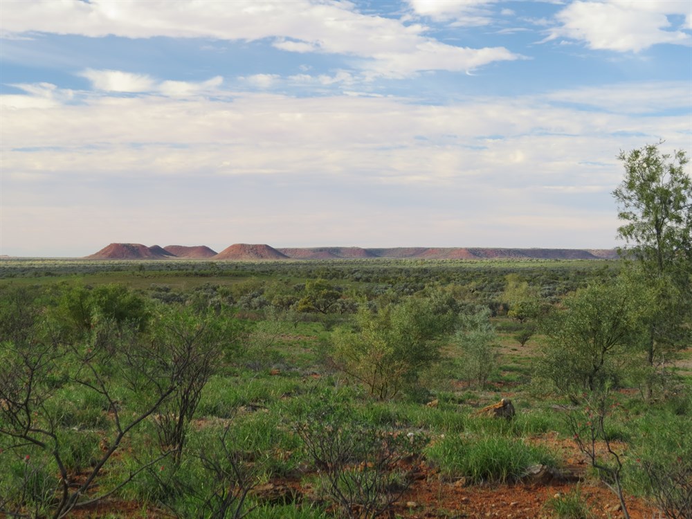 Plenty Highway @ ExplorOz Treks